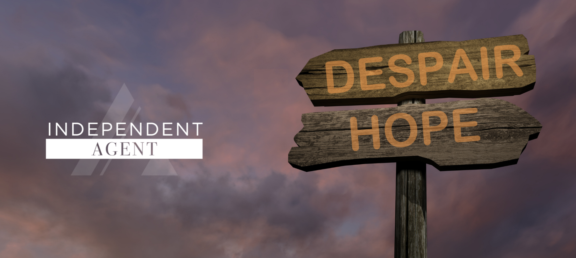 The Valley of Despair - Independent Agent NZ