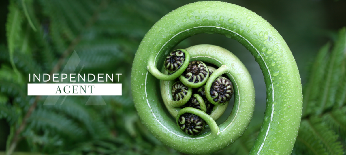 Take Back Control Of Your Mind. - Independent Agent NZ